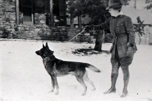 Genevieve Era | Greystone Estate